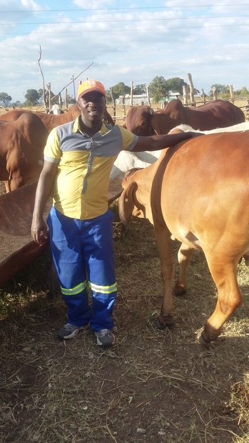 Taguta Brahman Stud Breeders Address and Contact Details